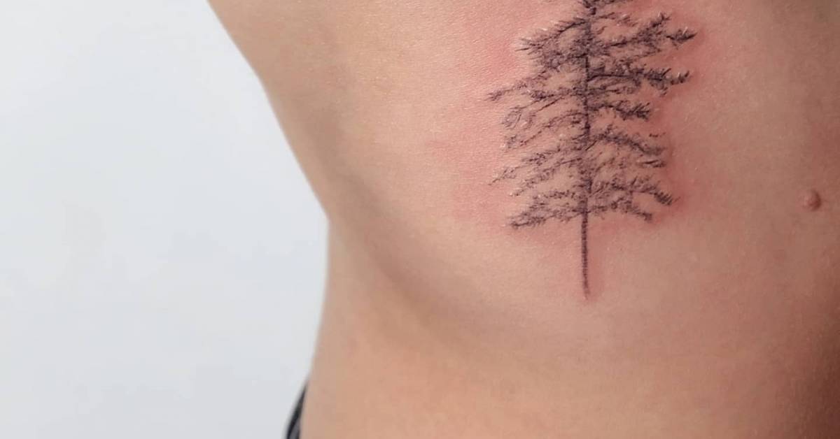 Fine line pine tree tattoo located on the rib.