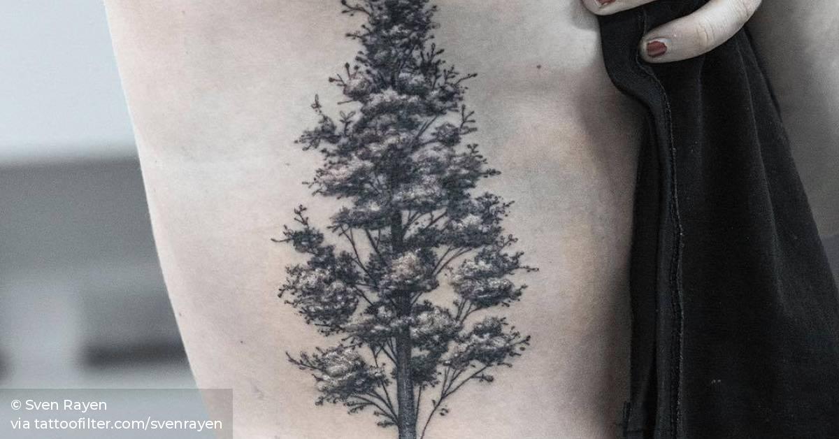 Sven Rayen, tattoo, ink, inked, rib, tree, blackw