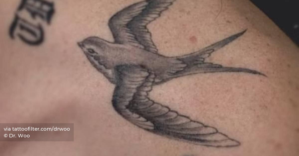 Illustrative style swallow tattoo located on the top of