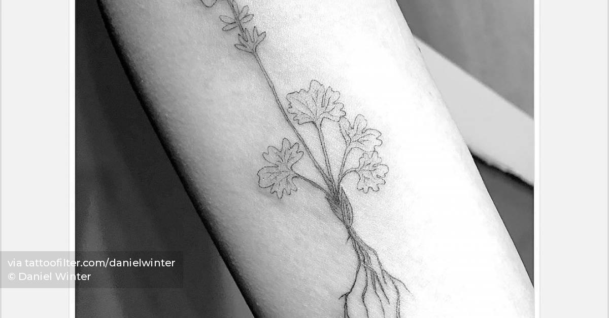 Botany drawings turn tattoo.
