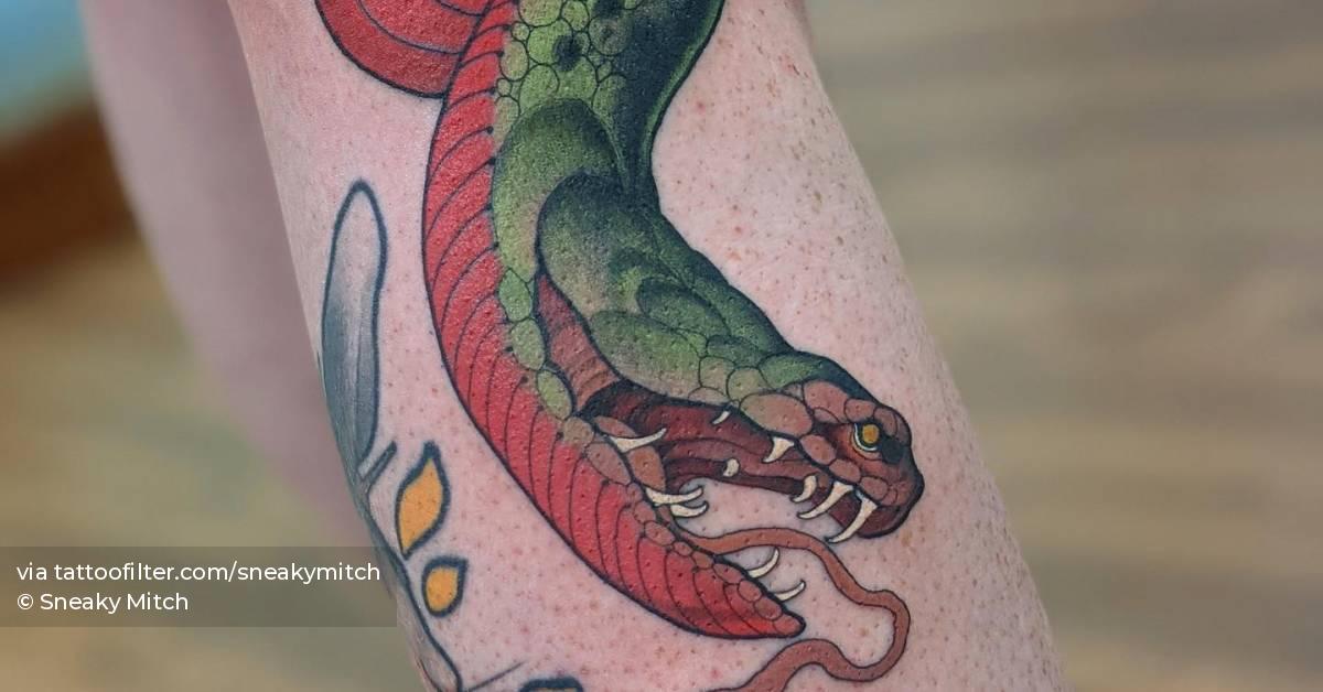 Snake tattoo located on the leg, neotraditional style.