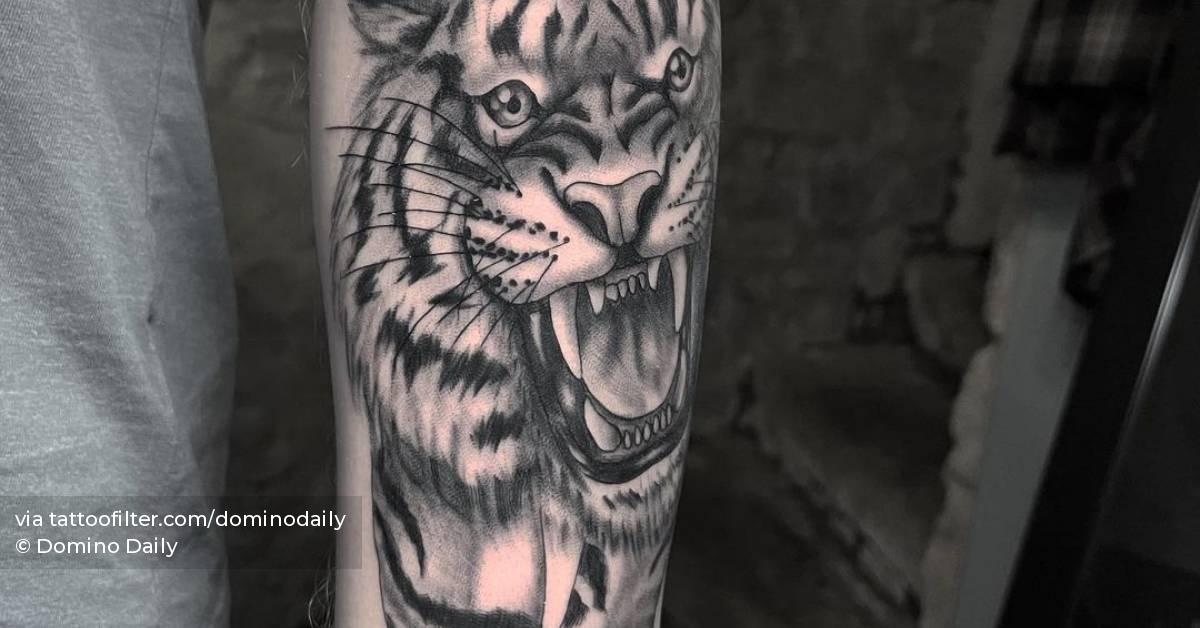 Traditional style tiger tattoo on the forearm.
