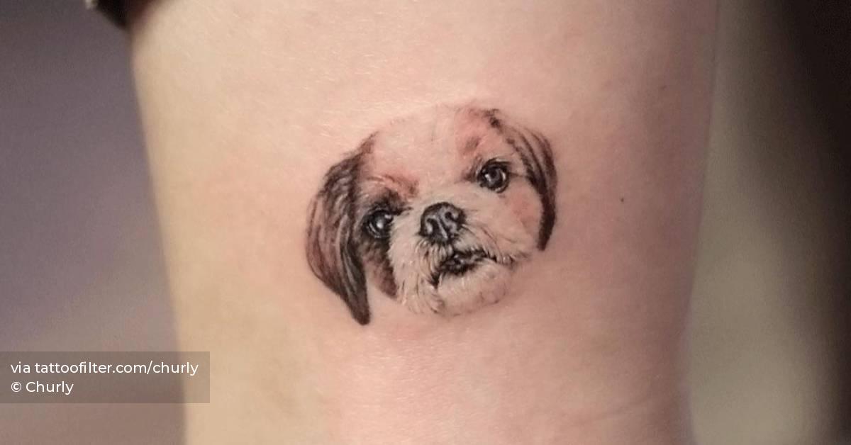 Shih tzu portratit tattooed on the ankle.