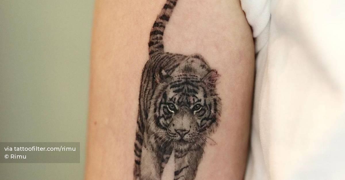 Tiger tattoo done on the bicep, micro-realistic style.