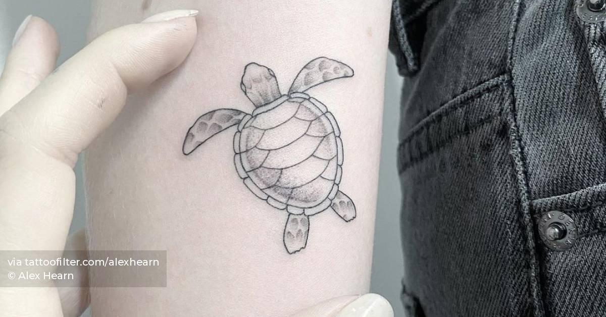 Fine line turtle tattoo on the inner forearm.