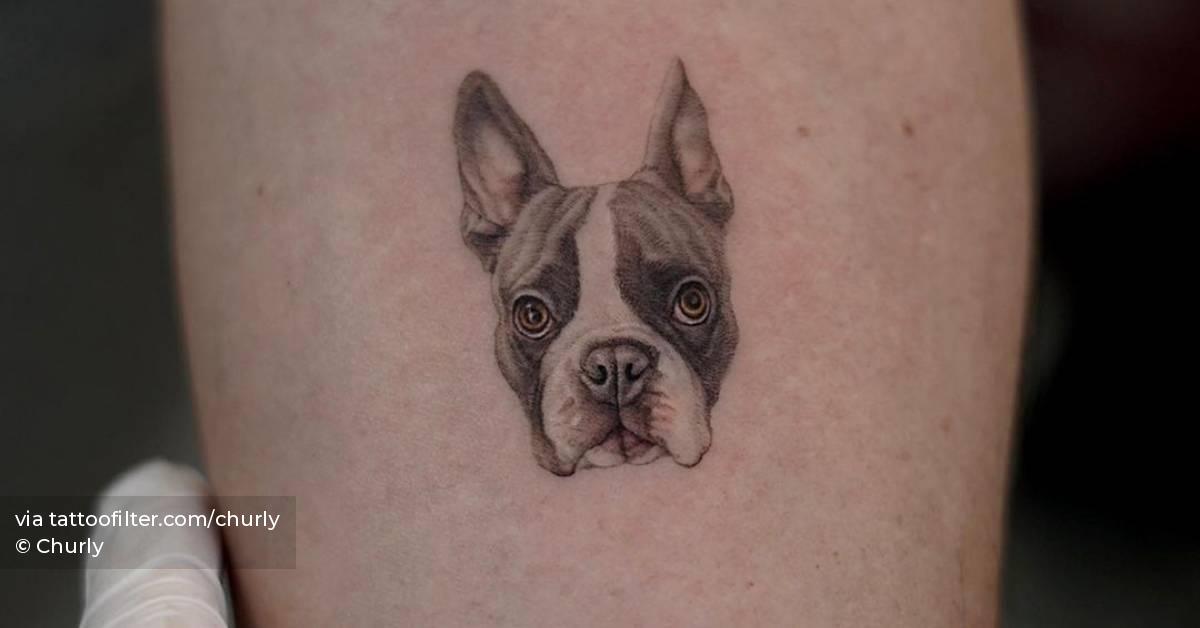 Boston terrier portrait tattoo located on the inner