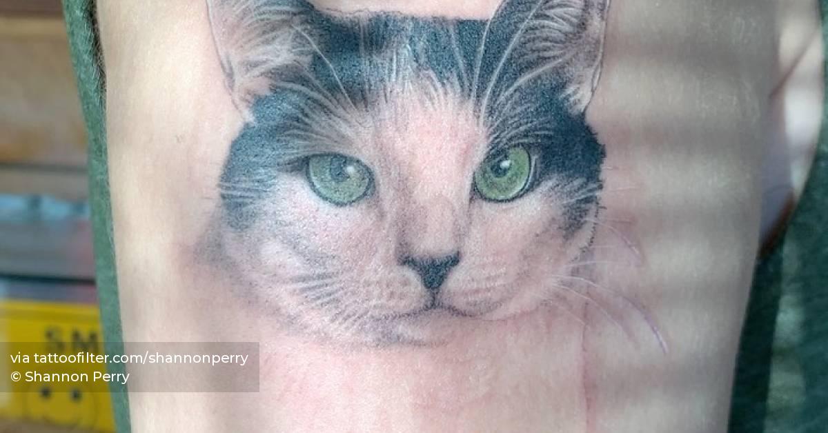 Realistic cat portrait tattoo on the upper arm