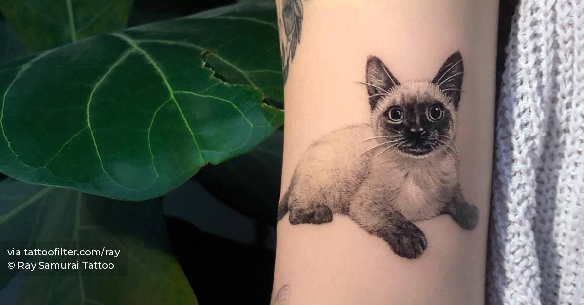 Siamese cat tattoo done on the bicep, micro-realistic