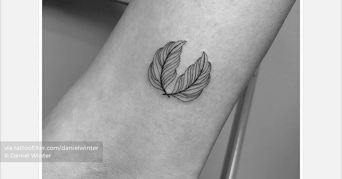 Fine line feathers tattoo located on the ankle.