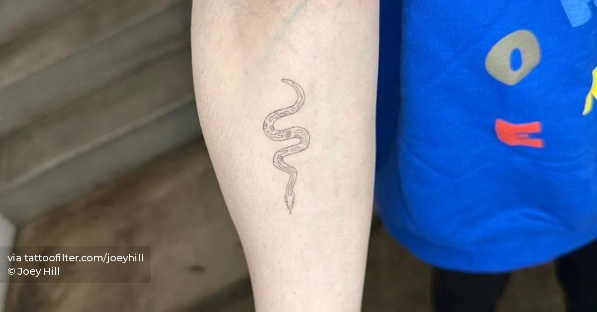 Single needle snake and book tattoos located on the arm