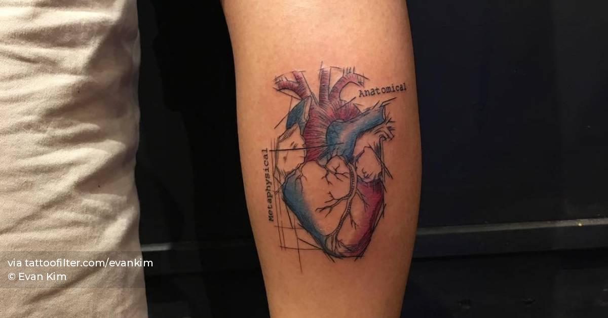 Sketchy style anatomical heart tattoo located on the