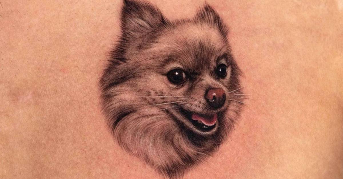 Little Pomeranian portrait tattoo located on the chest.