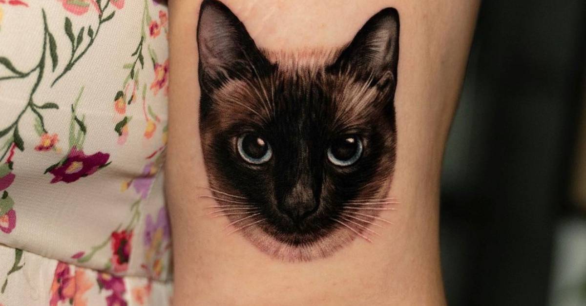 Siamese Cat tattoo located on the bicep.