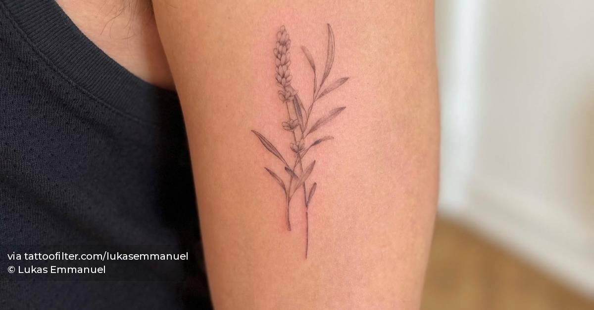 Olive branch and lavender tattoo located upper