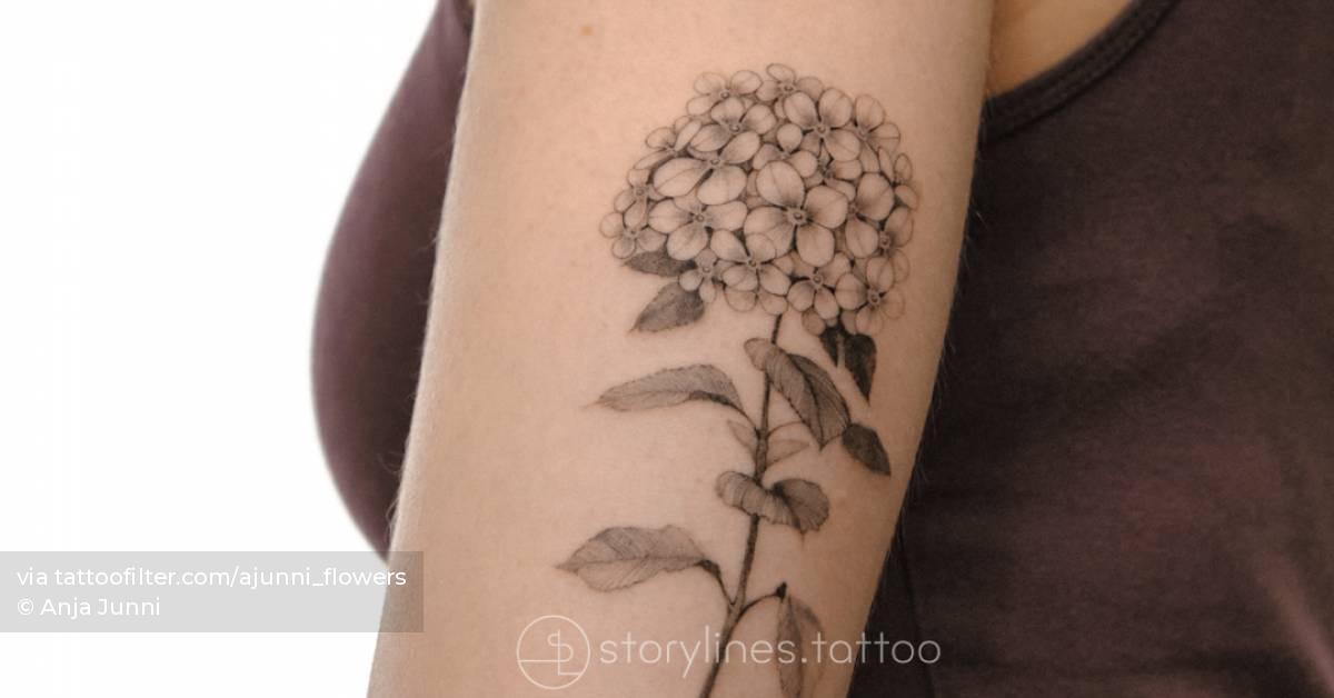 Hydrangea, in loving memory of ️.