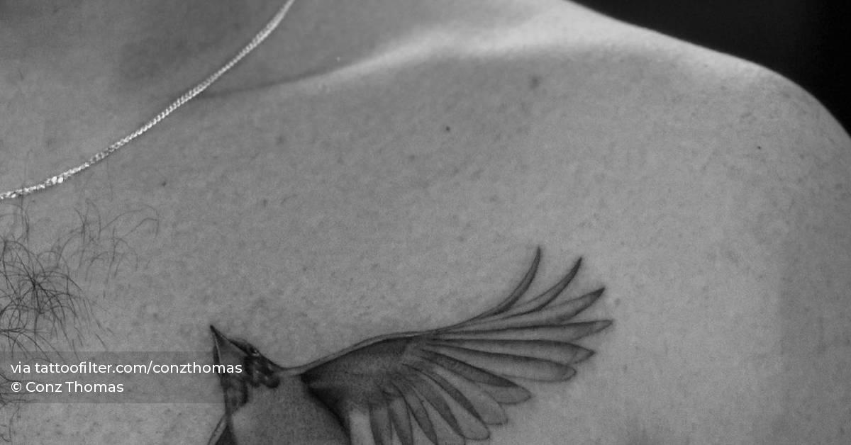 Robin tattoo located on the chest, illustrative style.