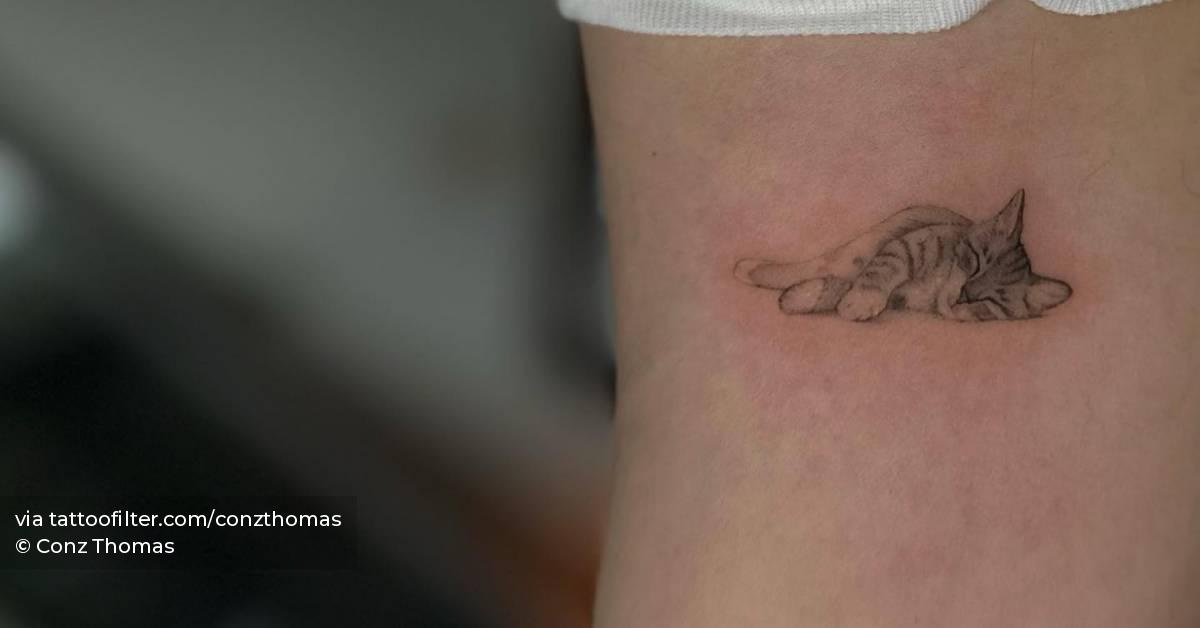 Micro-realistic cat tattoo done on the inner arm.