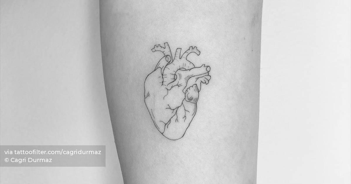 Fine line style anatomical heart tattoo done on the