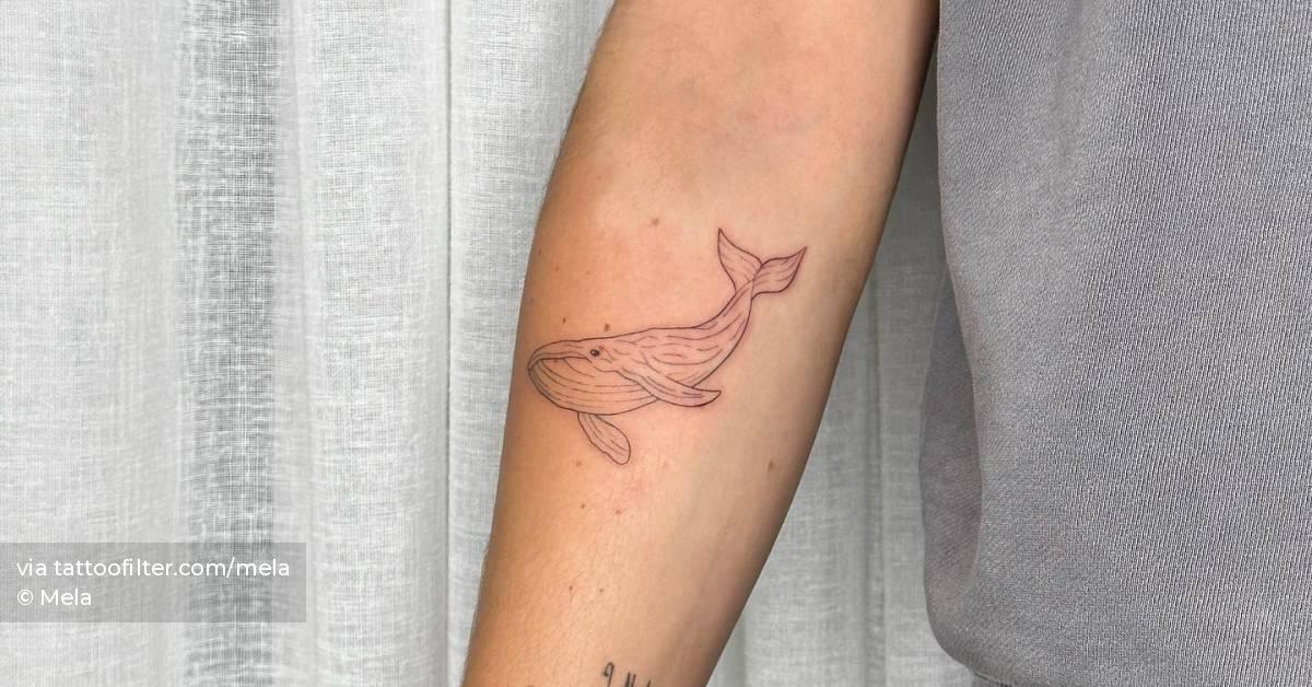 Fine line style whale tattoo done on the inner forearm.