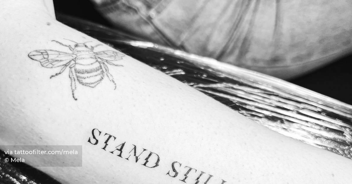 Tattoo that says "stand still" located on the forearm.