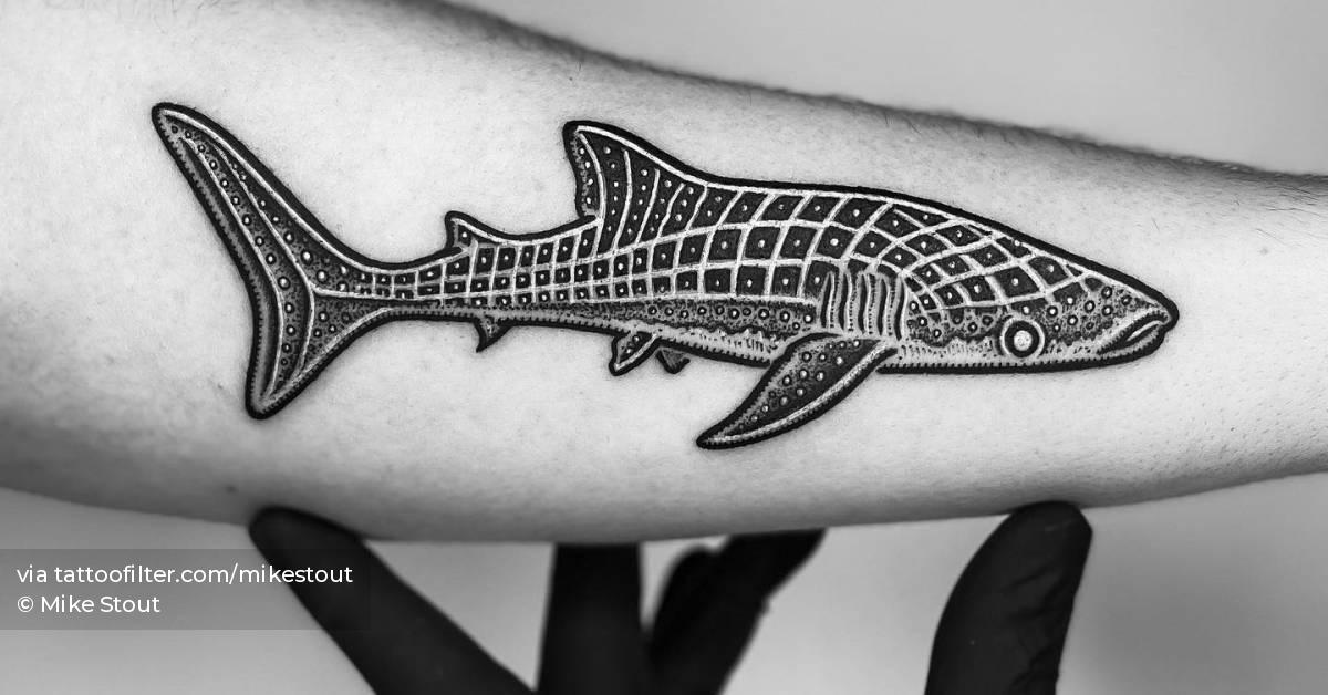 'The Shark Patterns'.