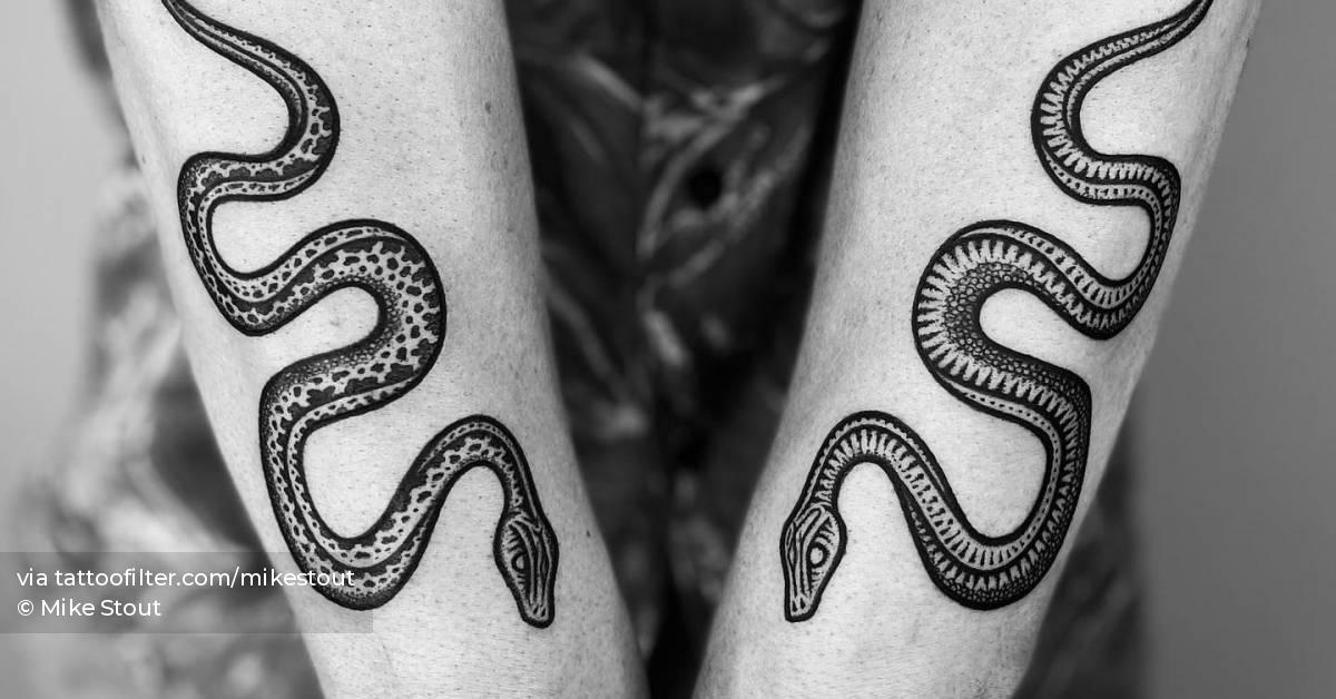 'The Synchronised Snakes'.