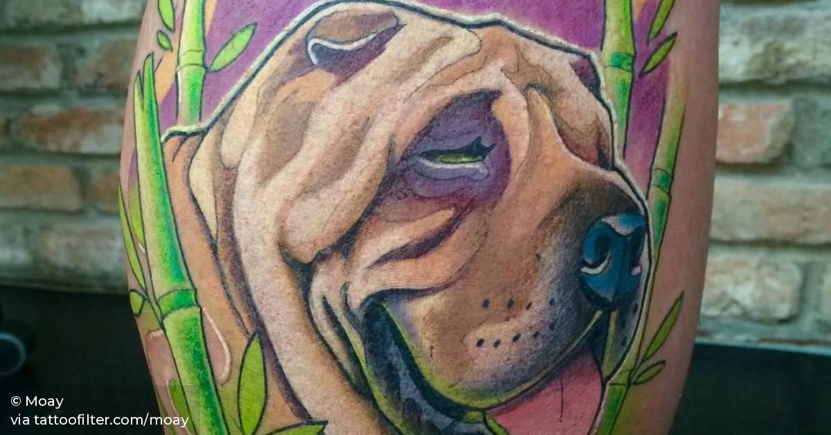 New school Shar Pei tattoo on the right calf.