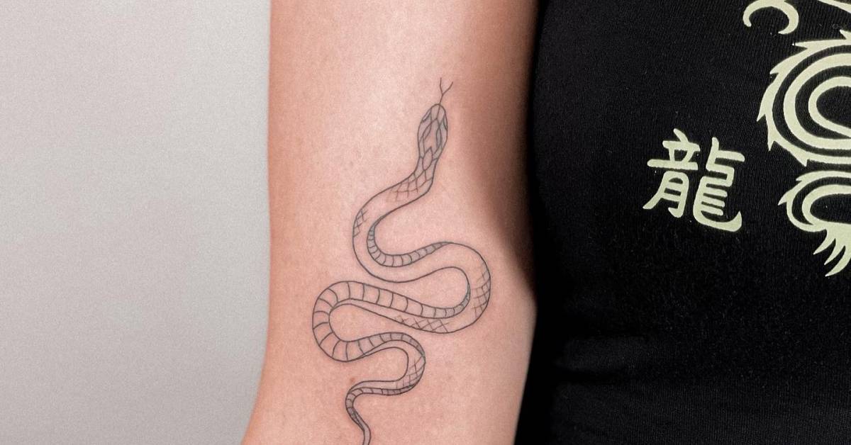 Fine line style snake tattoo placed on the bicep.
