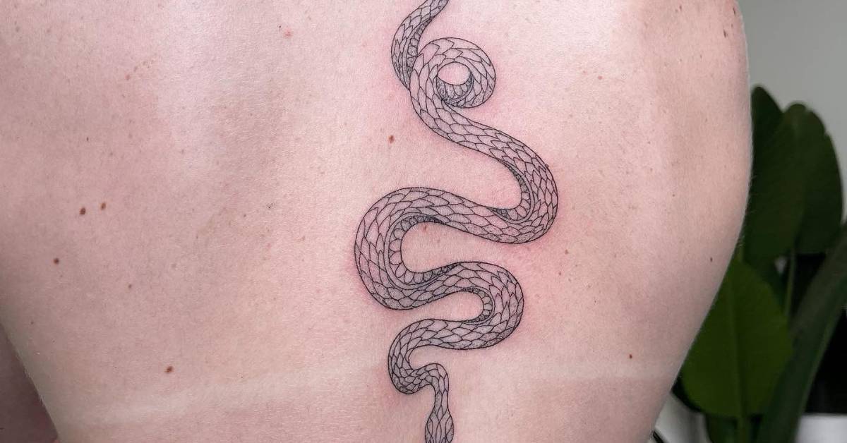 Fine line style snake tattoo placed on the back.