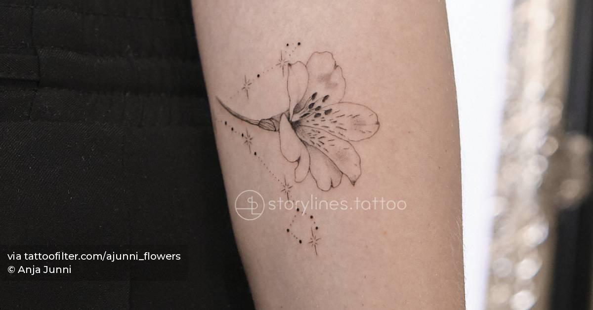 Peruvian Lily, singleneedle fineline flower with