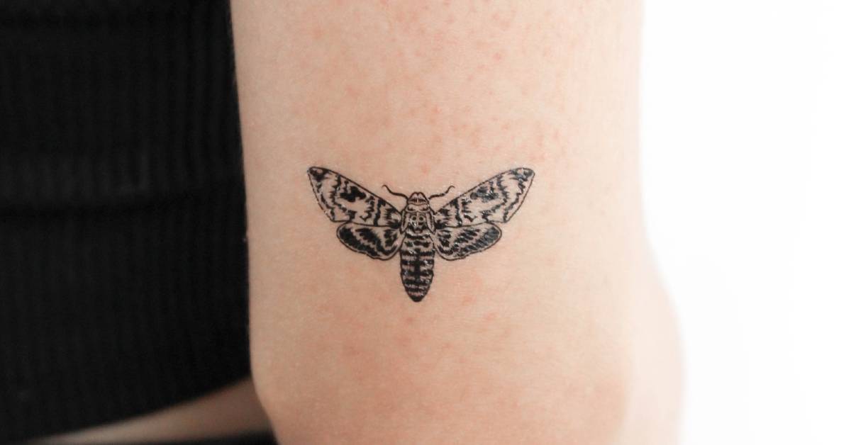 Moth temporary tattoo located on the tricep.