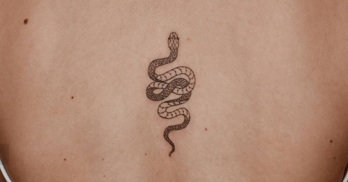 Fine line style snake tattoo located on the upper back.