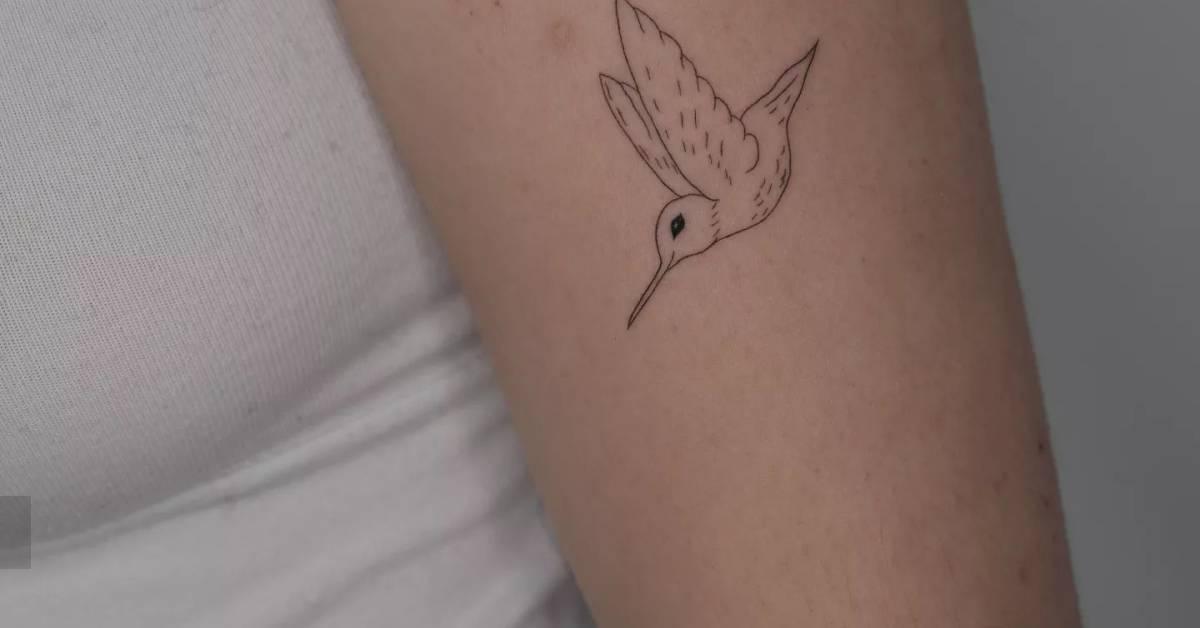 Fine line style hummingbird tattoo placed on the upper