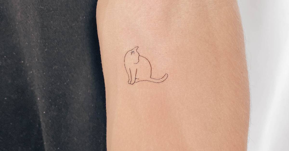 Fine line style sitting cat tattoo located on the inner