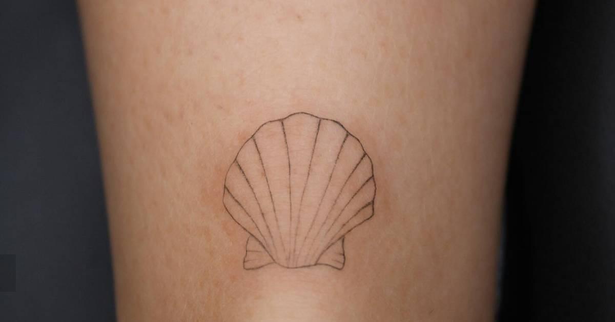 Fine line style scallop shell tattoo located on the