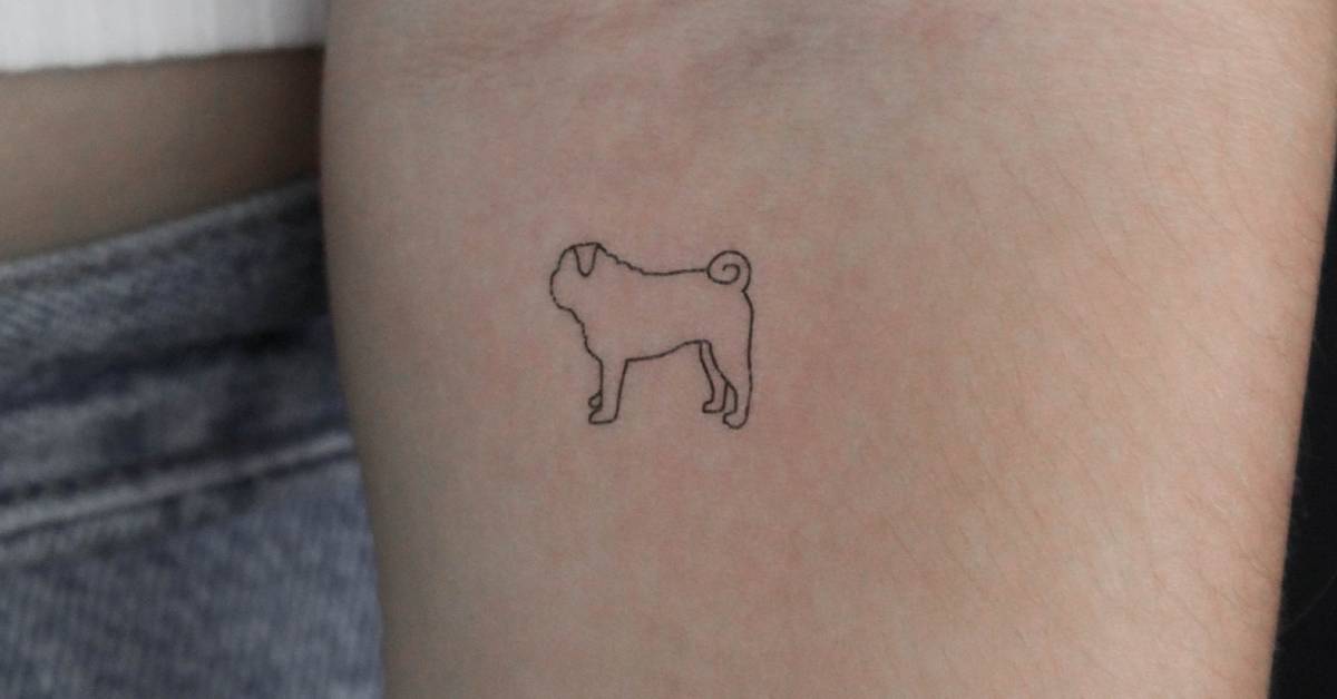 Fine line style Pug temporary tattoo located on the
