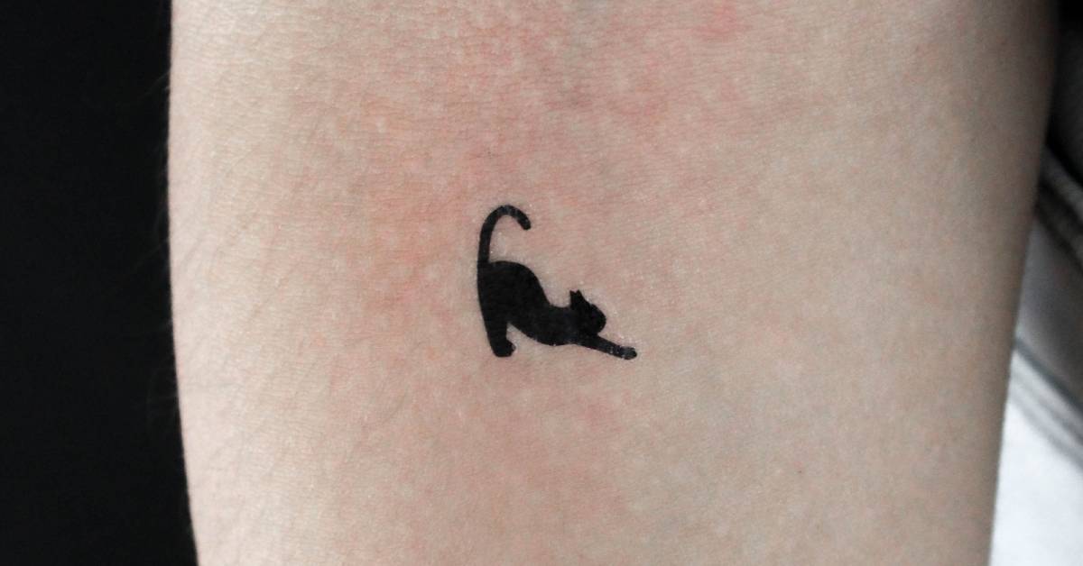 Stretching black cat temporary tattoo located on the