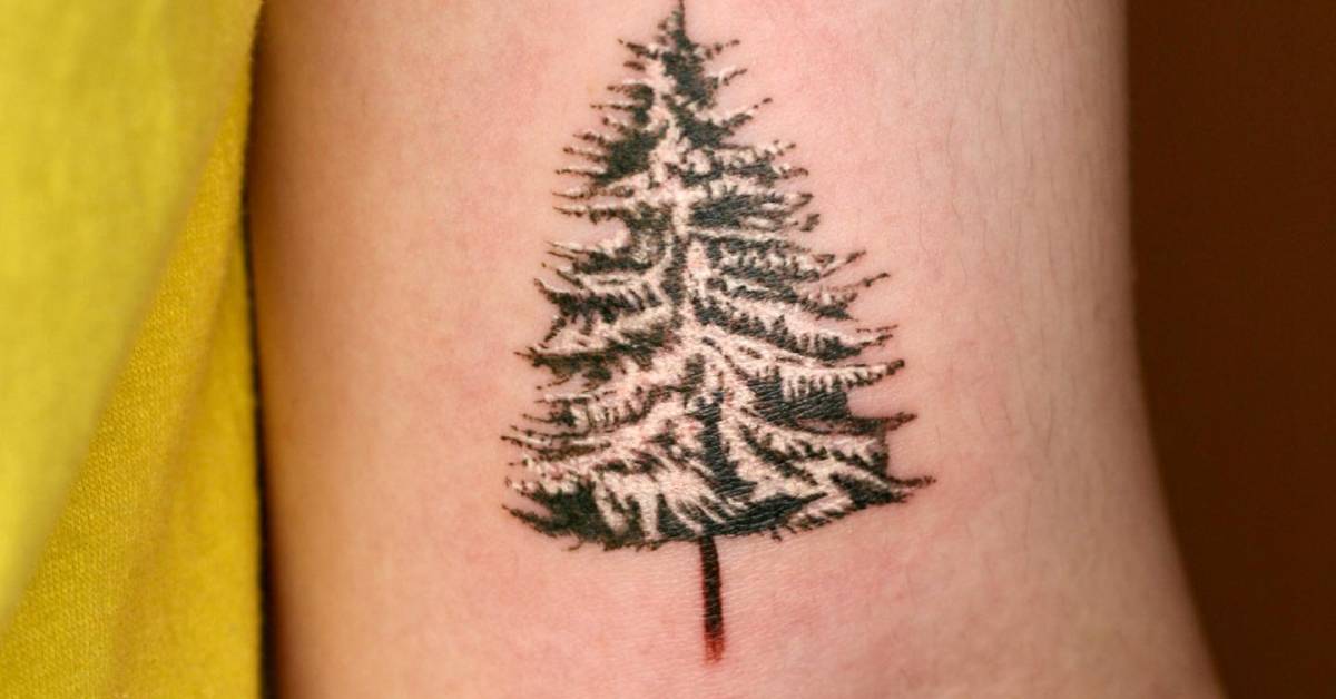 Watercolor Pine Tree Tattoo Watercolor Trees Part 2 9th&Mayne