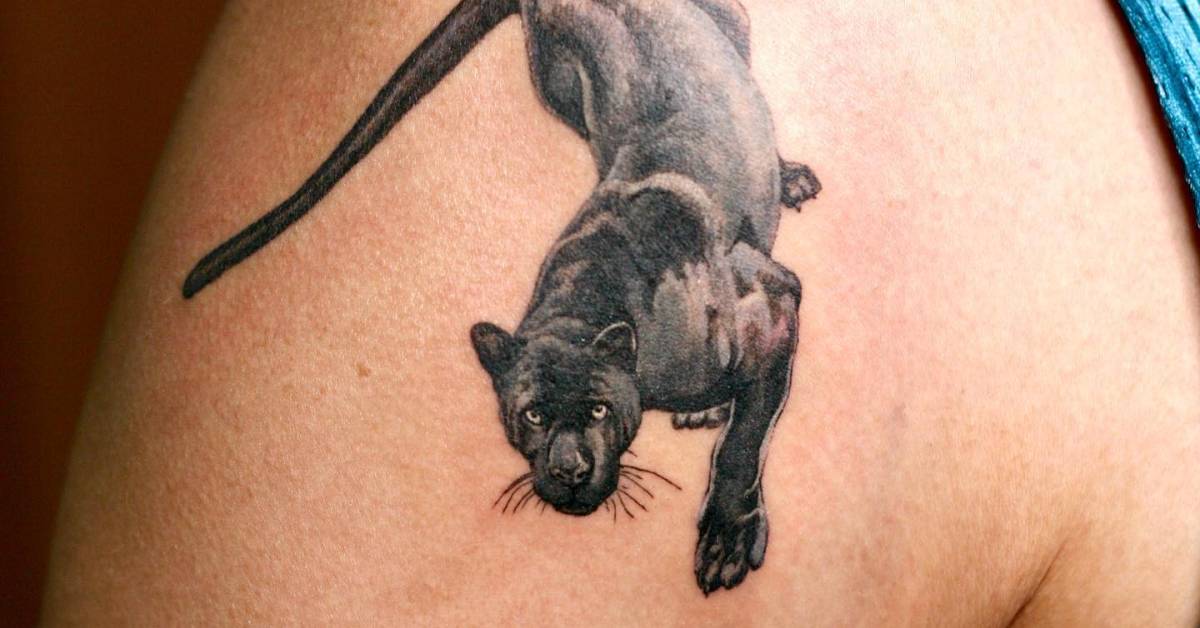 Black panther tattoo placed on the shoulder, watercolor