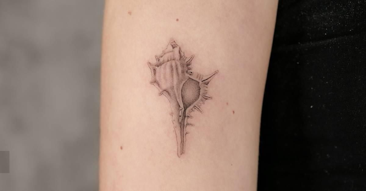 Micro-realistic style tulip shell tattoo located on the