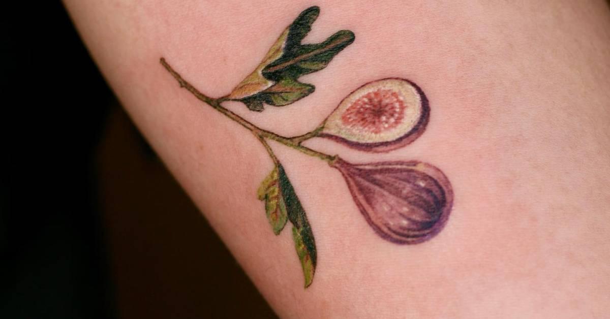 Fig tatoo placed on the inner forearm, done in