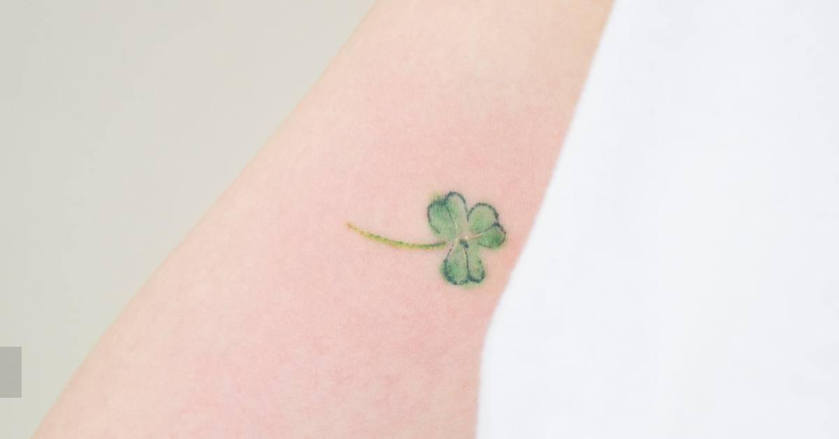 Cute three leaf clover tattoo located on the inner arm.