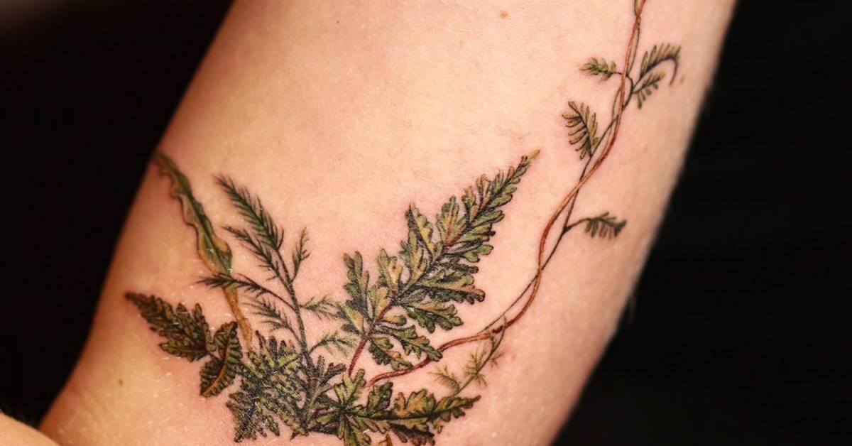 Watercolor style fern frond tattoo located on the upper