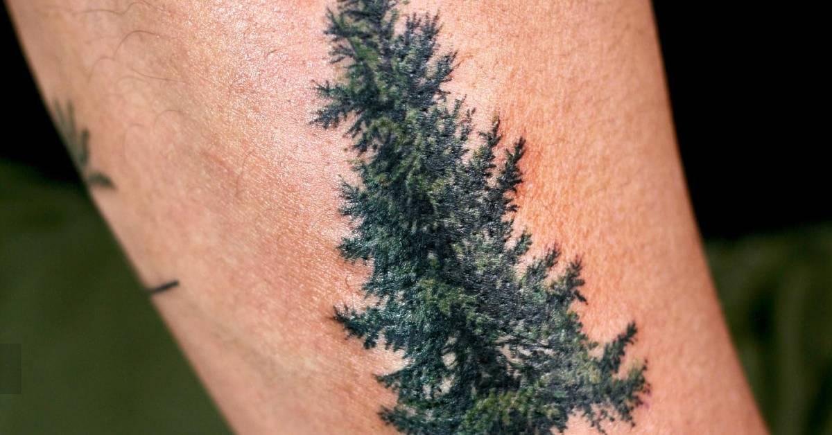 Micro-realistic style pine tree tattoo located on the