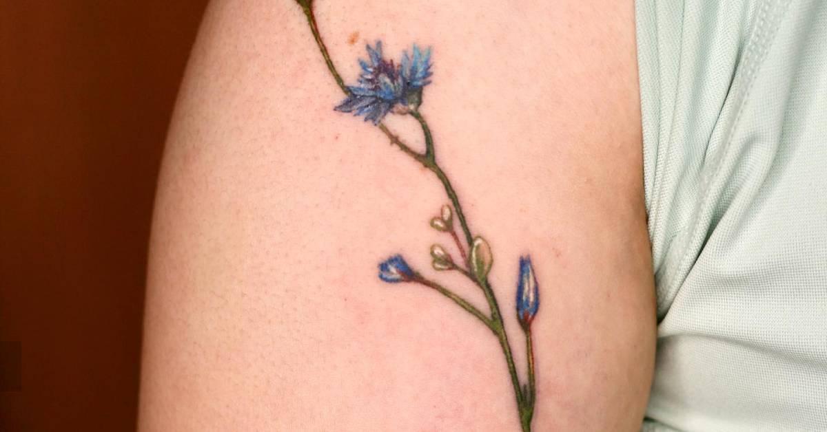Watercolor style cornflower tattoo located on the upper