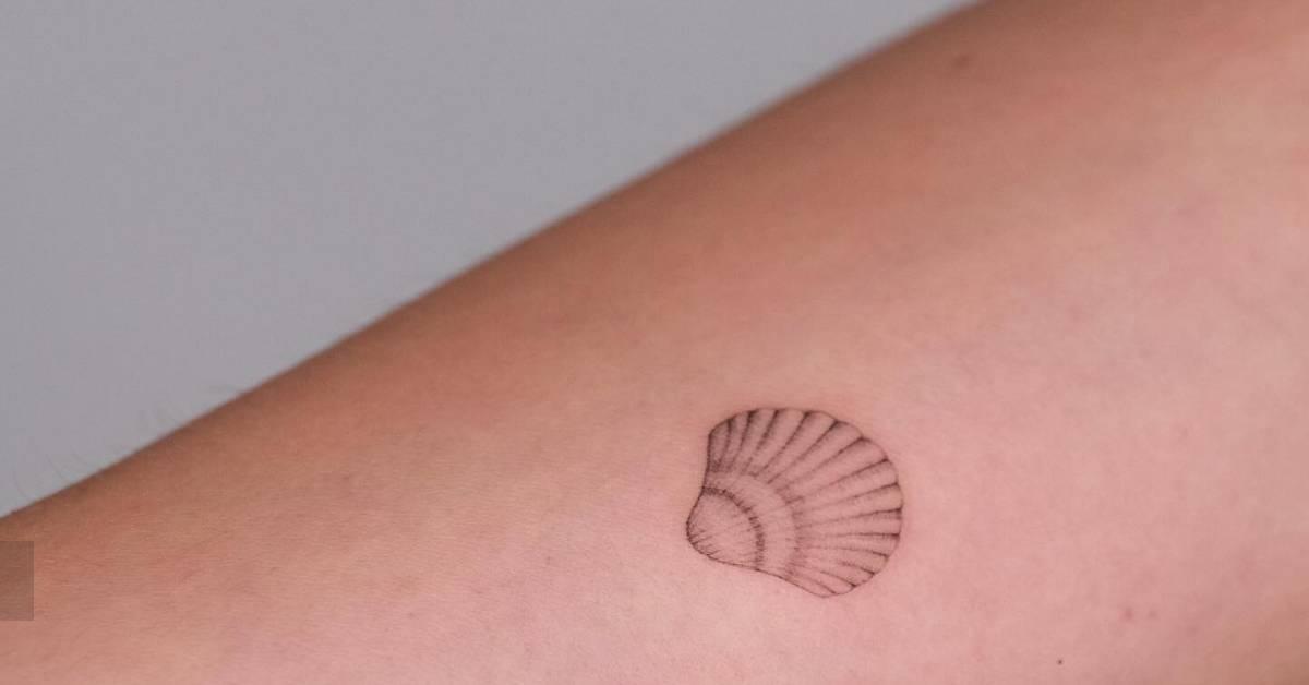 Single needle scallop shell tattoo placed on the inner