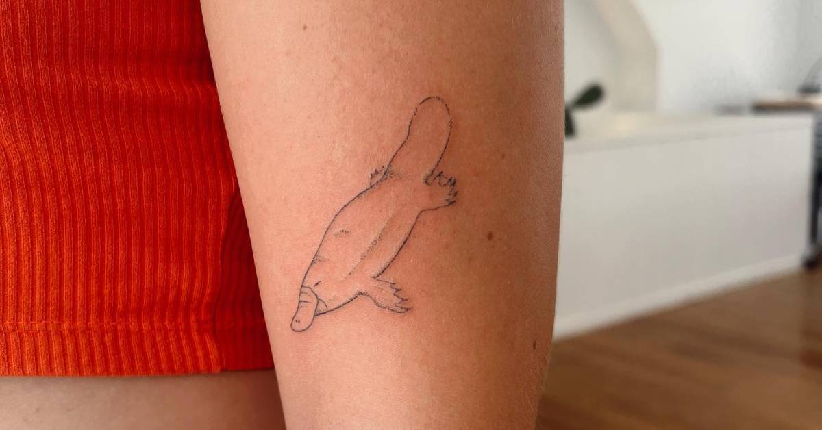 Hand poked fine line platypus tattoo located on the