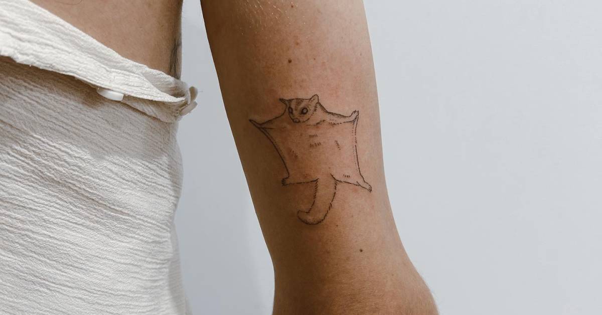 Flying squirrel tattoo hand poked on the tricep.