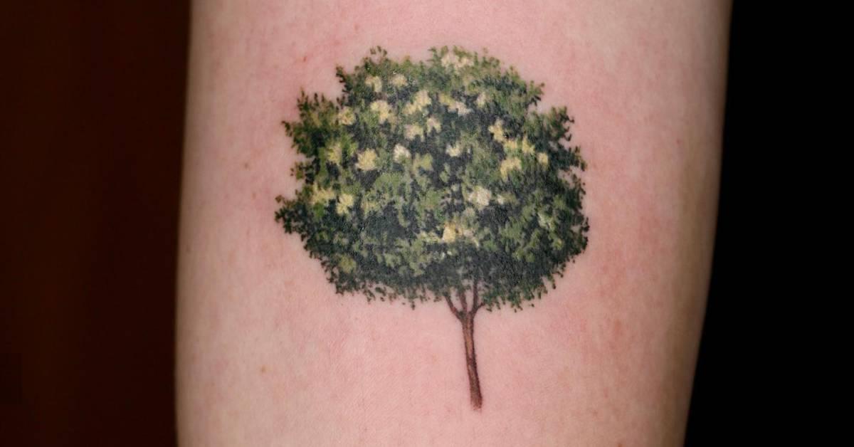 Locust tree tattoo in watercolor style located on the