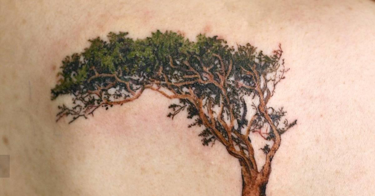 Watercolor style tree tattoo placed on the shoulder
